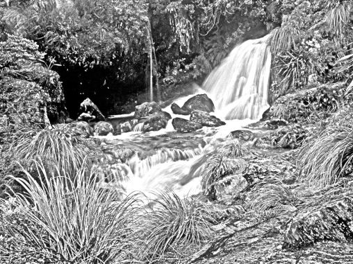 Dessin Nature Noir Et Blanc • Les plus belles photos par Bonjour Nature